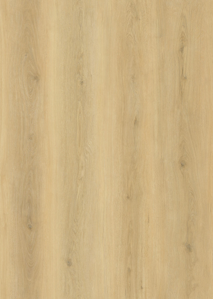 Vinyl Sycamore Super Collection | Factory Flooring Liquidators