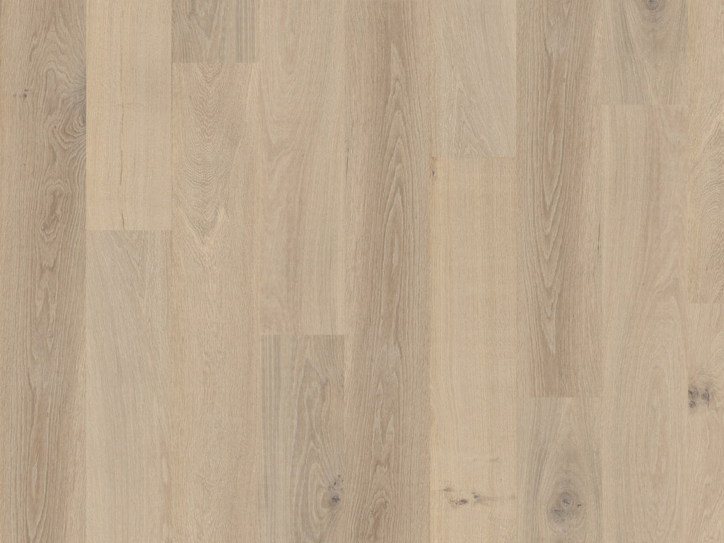Hardwood TAIGA TERRA COLLECTION | Factory Flooring Liquidators
